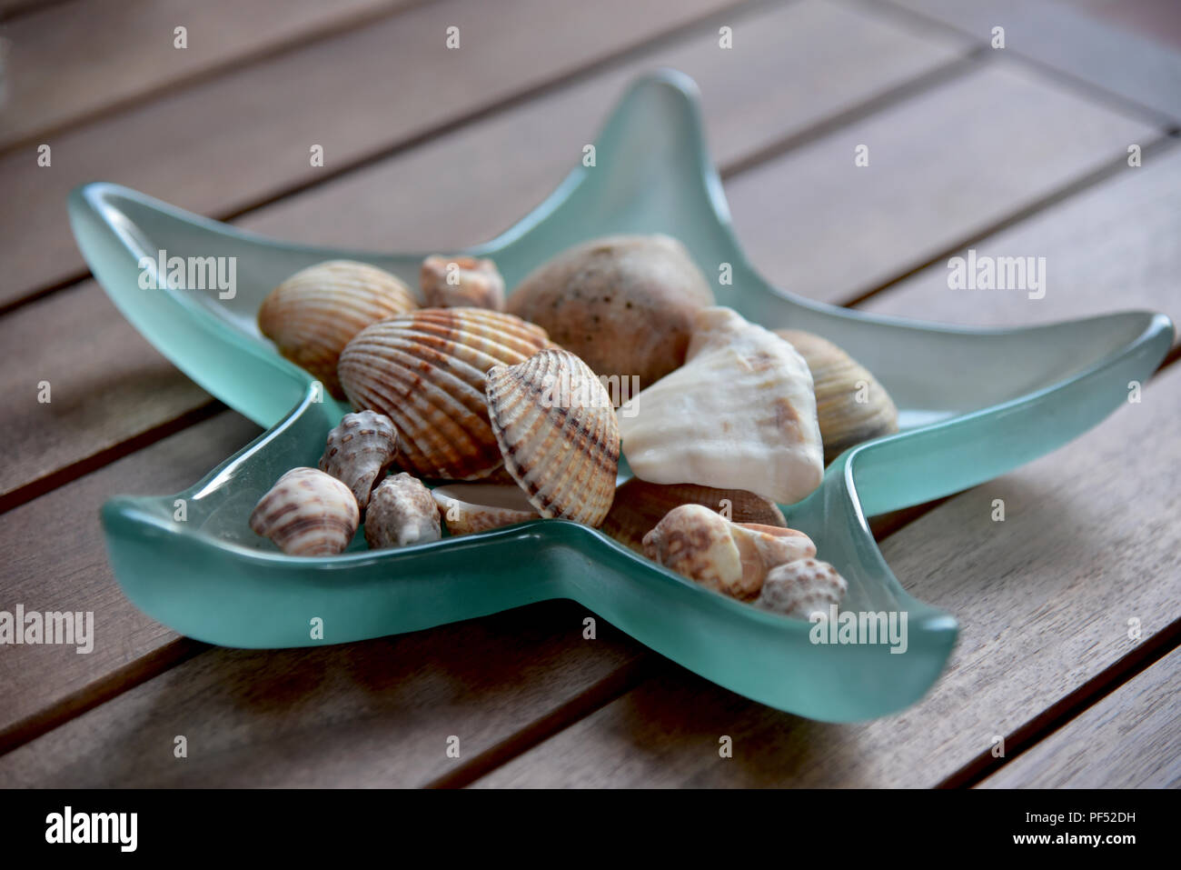 seashells in a crystal star Stock Photo - Alamy