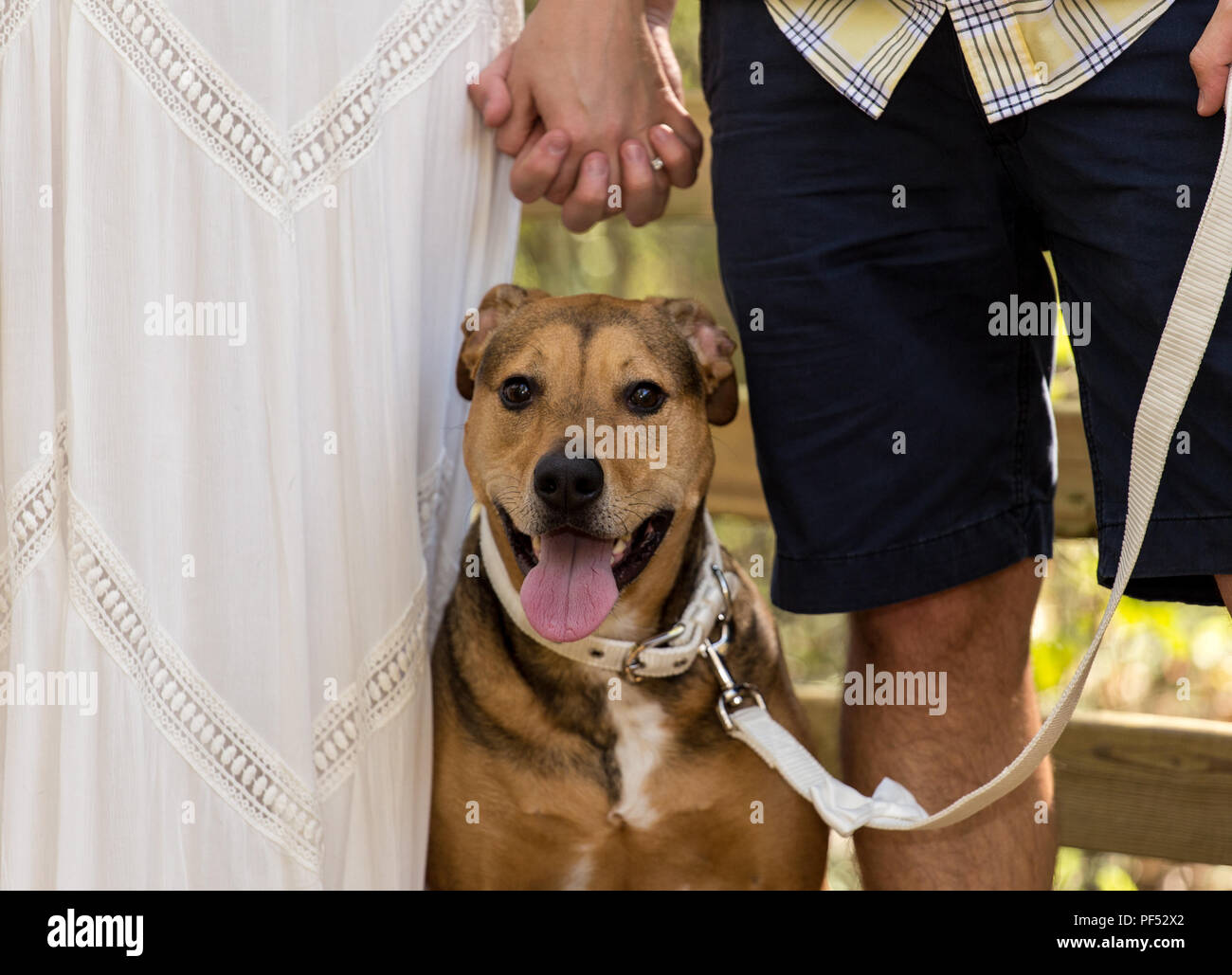 Mom and Dad are Engaged Stock Photo - Alamy