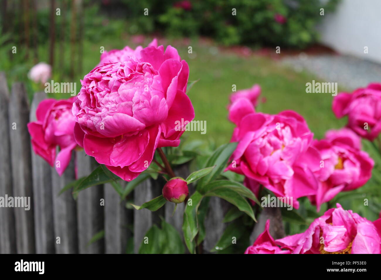 Light backround hi-res stock photography and images - Alamy