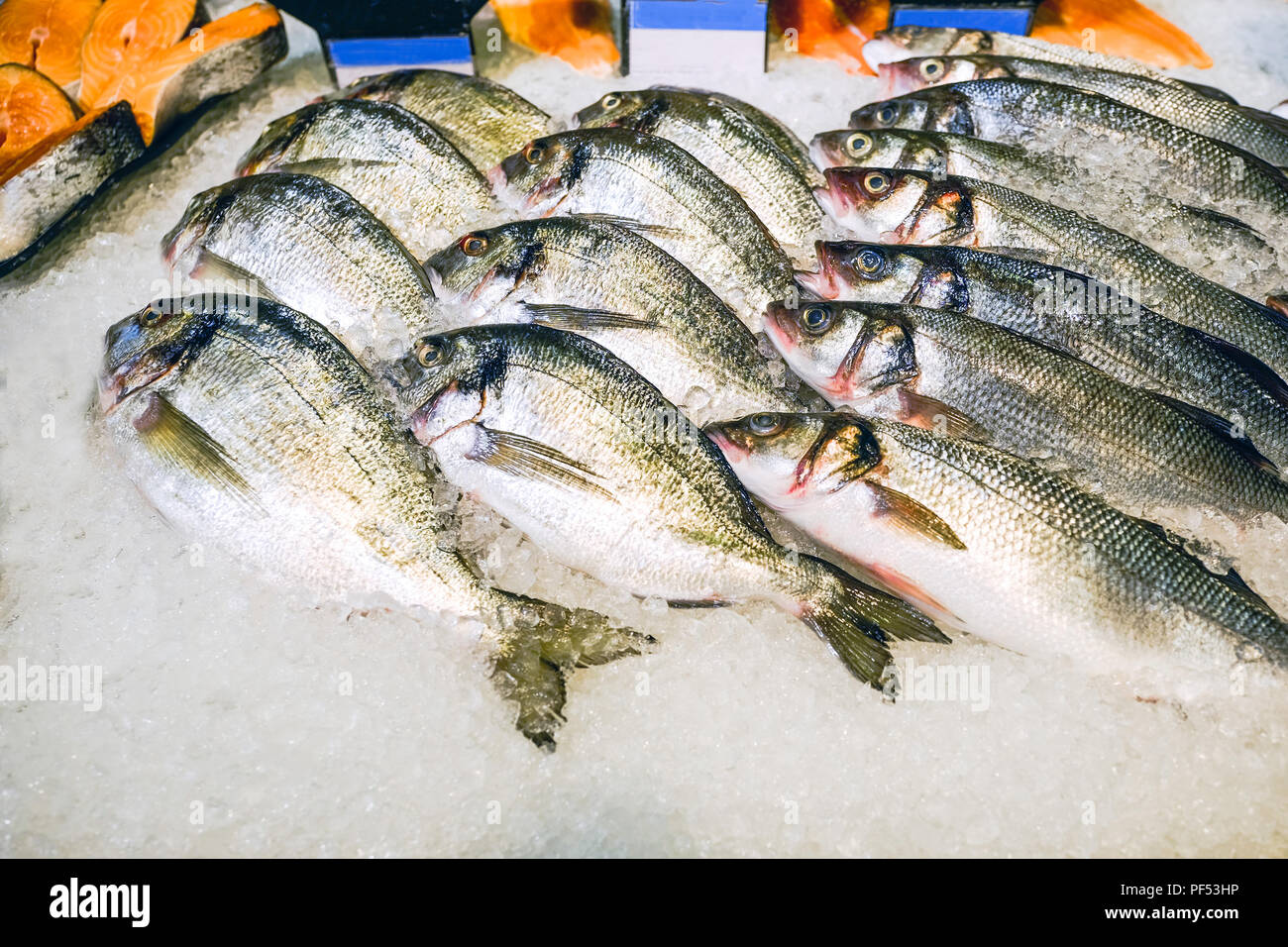 Royal trout fish on display in the fish shop. Ice for preservation ...