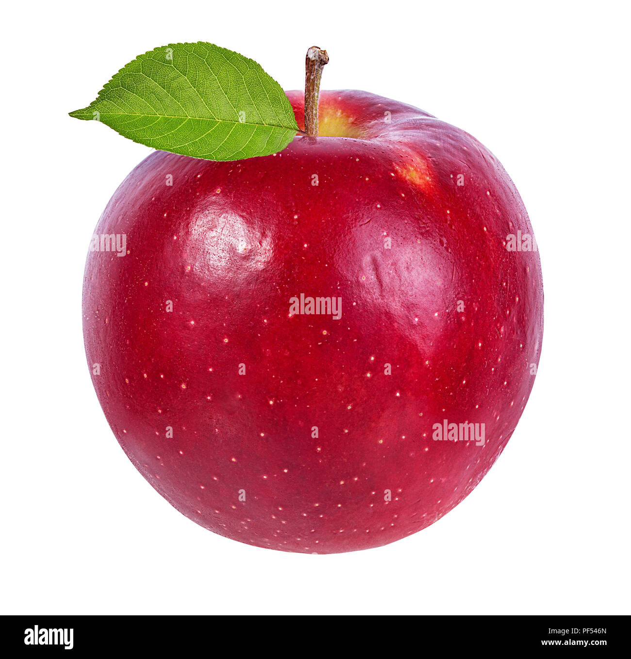 Apple on a white background Stock Photo - Alamy