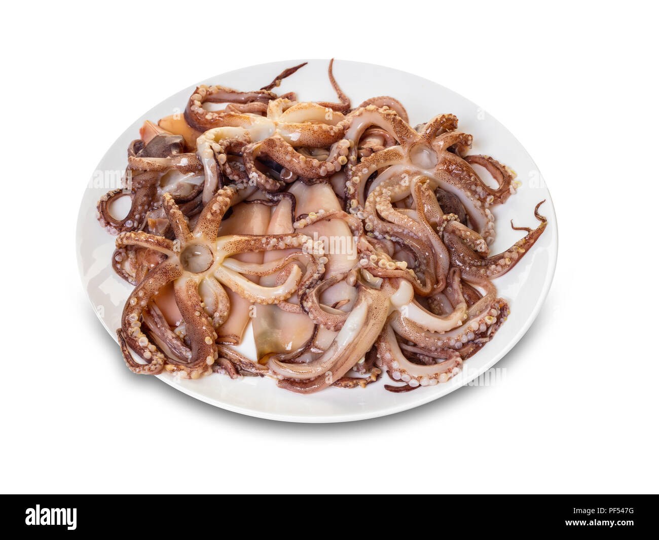 prepared squid in a plate on a white isolated background Stock Photo ...
