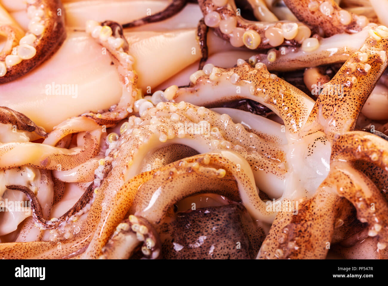 food background of raw squid prepared for cooking Stock Photo - Alamy