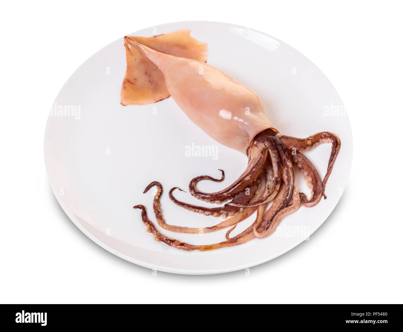 Closeup fresh squid in Cut Out Stock Images & Pictures - Alamy