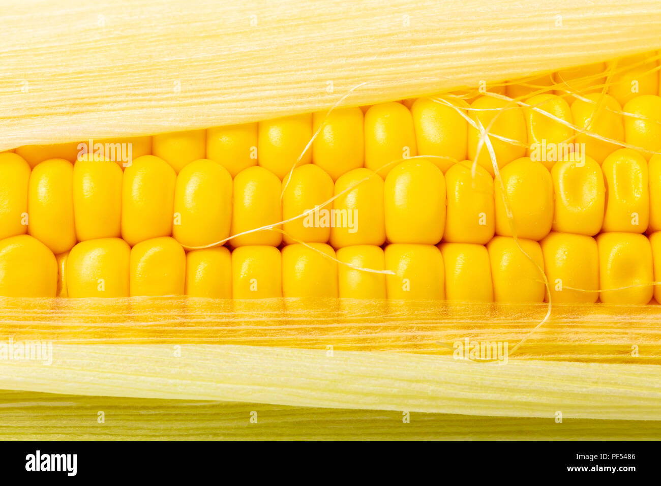food background of a texture of corn cobs closeup Stock Photo - Alamy