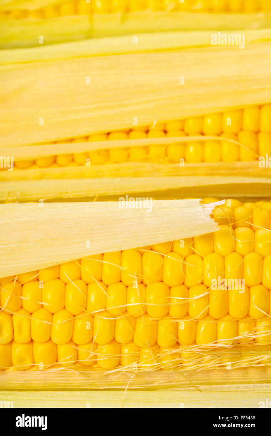 food background of a texture of corn cobs closeup Stock Photo - Alamy