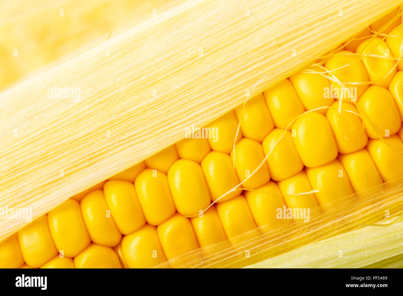 food background of a texture of corn cobs closeup Stock Photo - Alamy