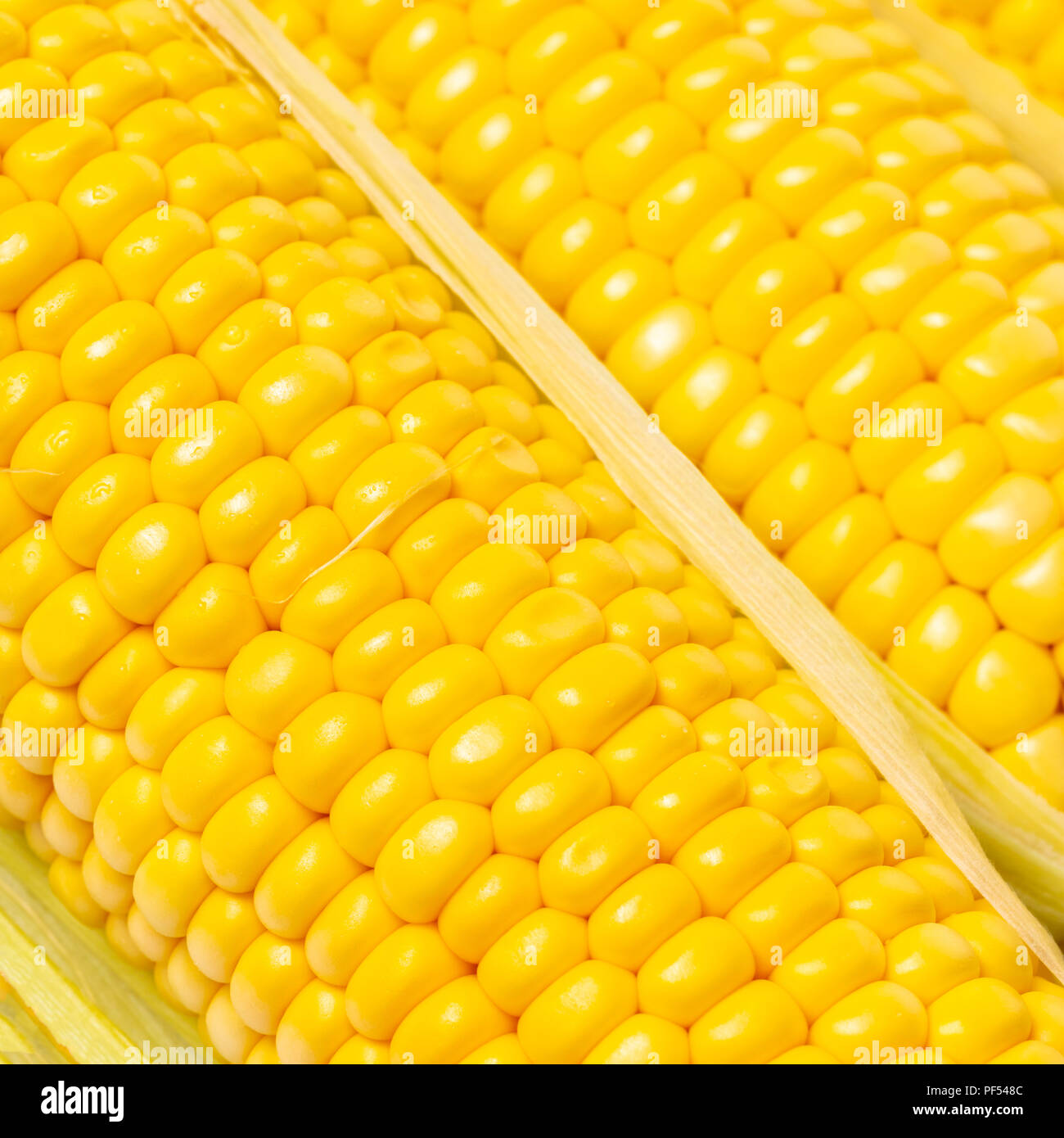 food background of a texture of corn cobs closeup Stock Photo - Alamy