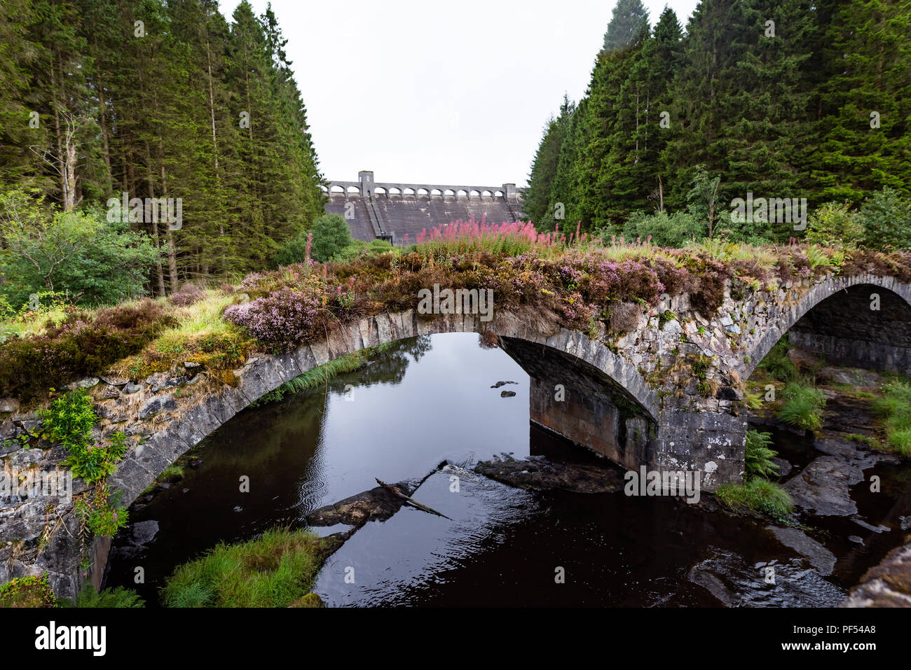 Loch dee dumfries hi-res stock photography and images - Alamy