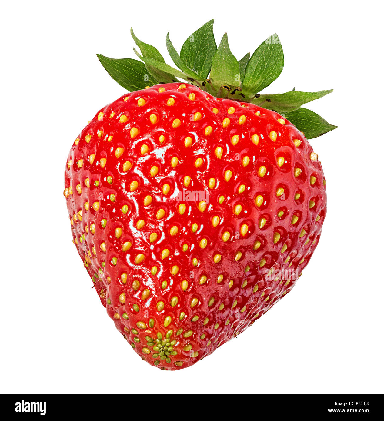 Strawberry isolated on white background Stock Photo - Alamy