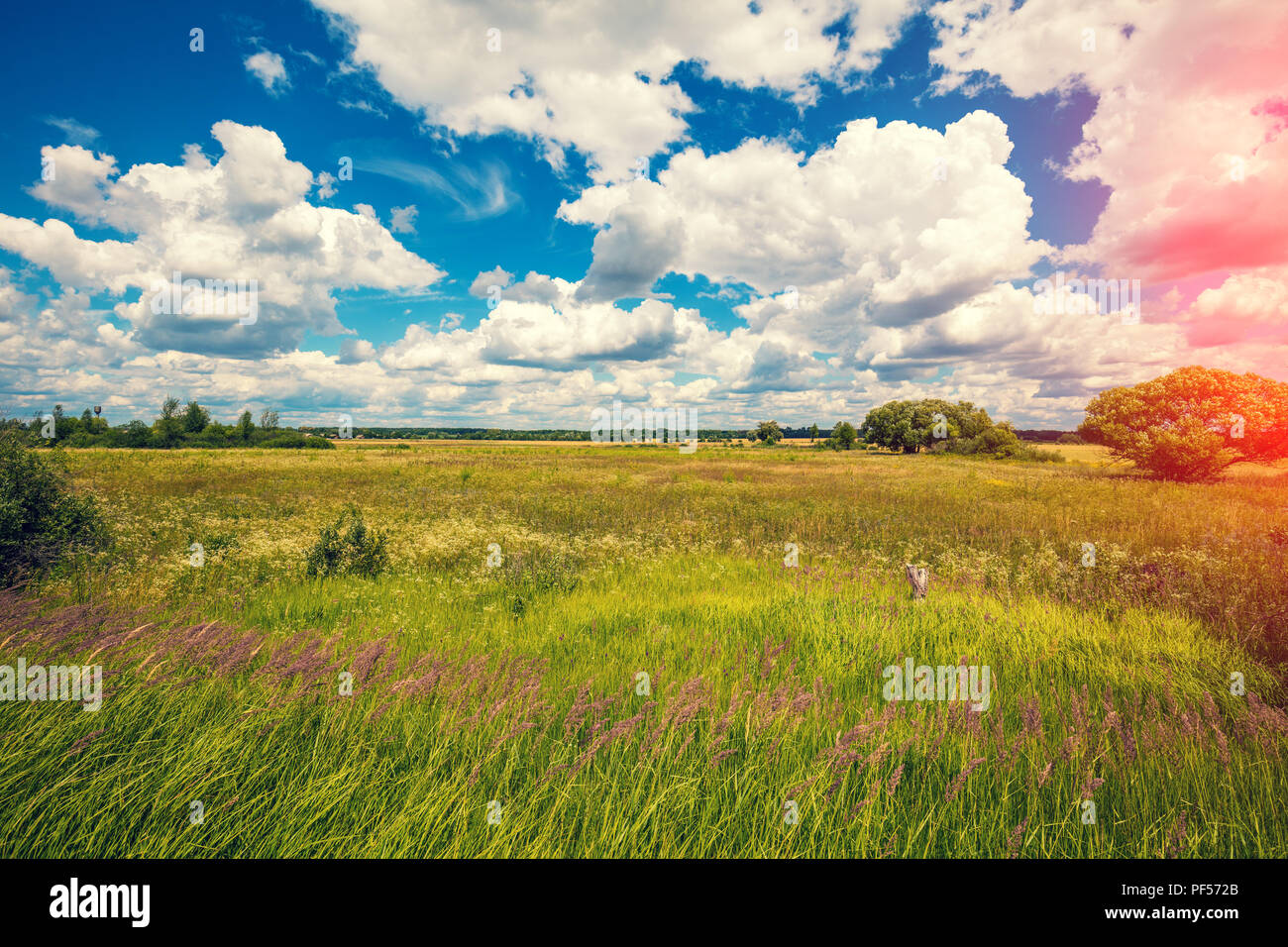 Countryside. Rural landscape. Field with blue sky and beautiful clouds ...