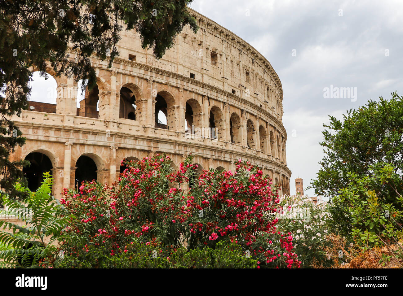 Roman colosseum flowers hi-res stock photography and images - Alamy