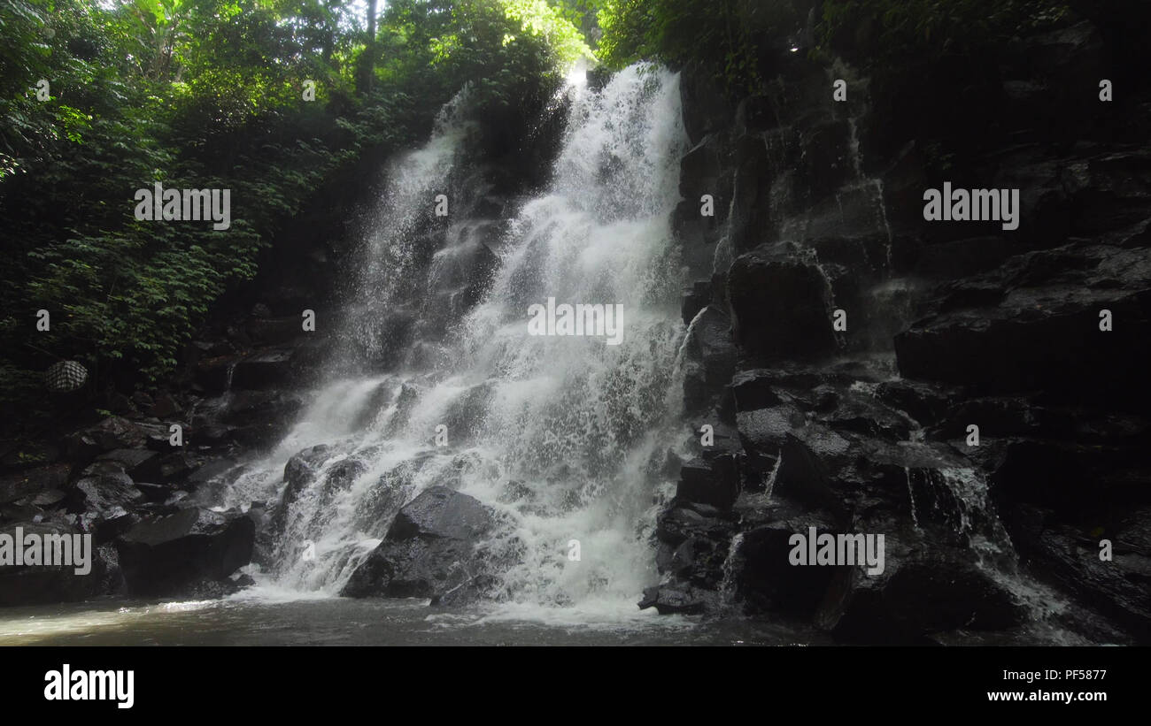 Waterfall in green rainforest. waterfall in the mountain jungle. Bali ...