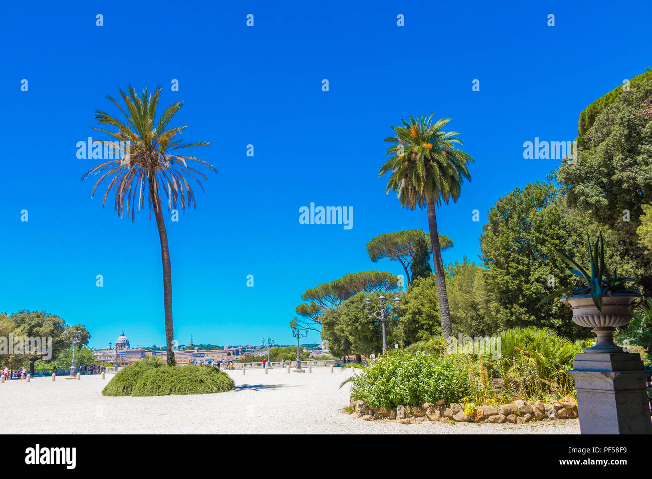 Palm trees on Piazzale Napoleone in Rome, Italy Stock Photo - Alamy