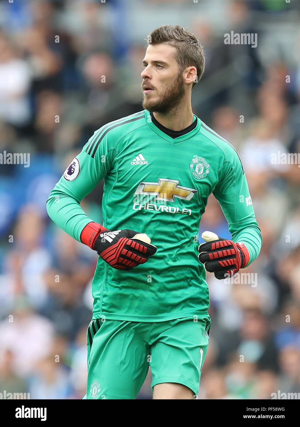 Manchester United goalkeeper David de Gea during the Premier League ...