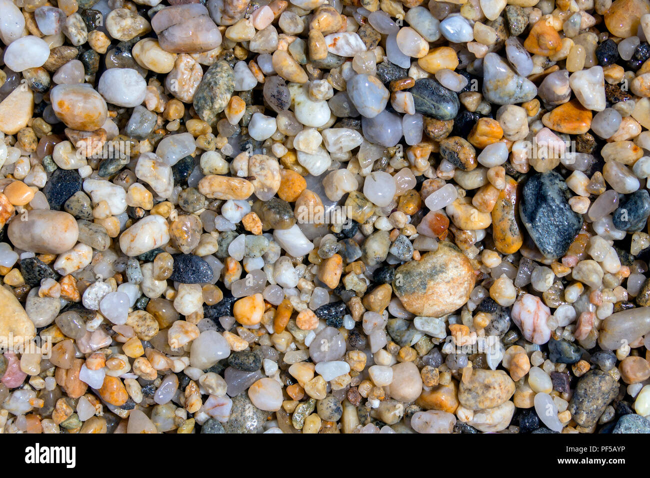 Nature as texture - sea colorful pebbles on the beach Stock Photo - Alamy