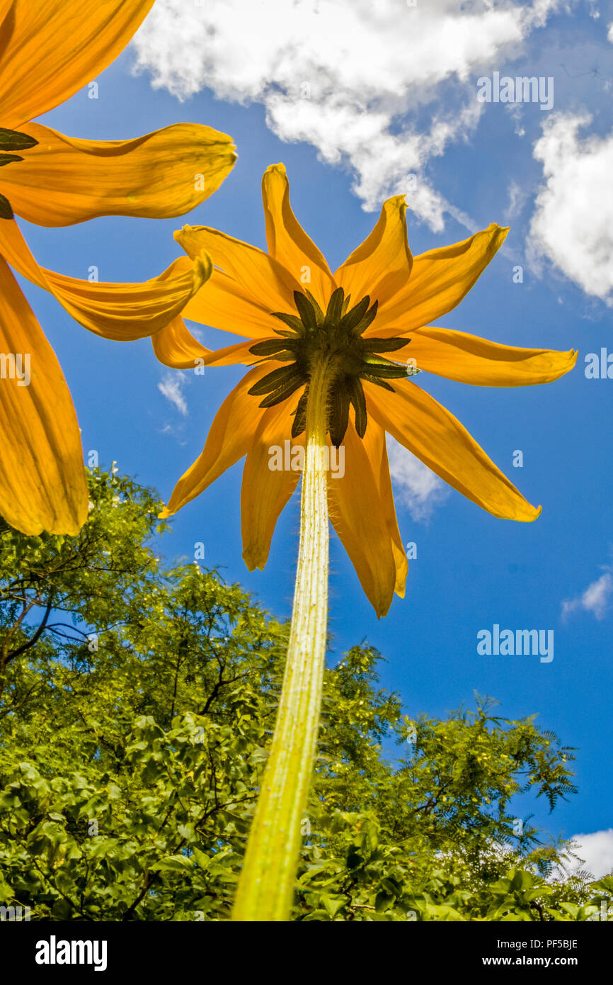 From underneath hi-res stock photography and images - Alamy