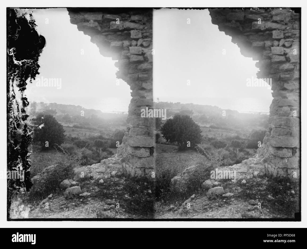 Askalon hi-res stock photography and images - Alamy