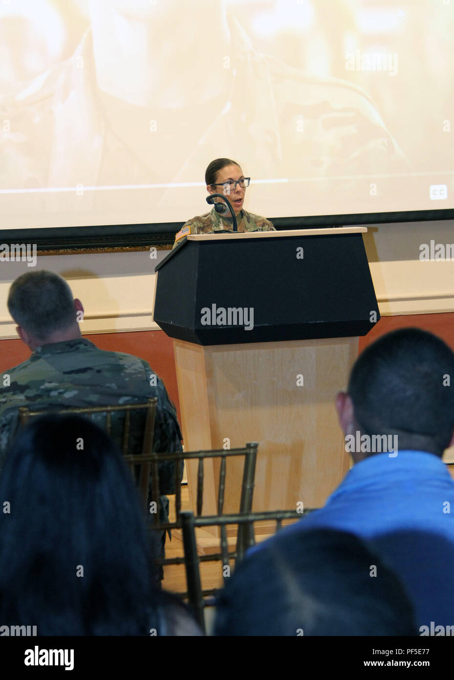 Lt. Col. Julie D'Annunzio, the U.S. Army Corps of Engineers North ...
