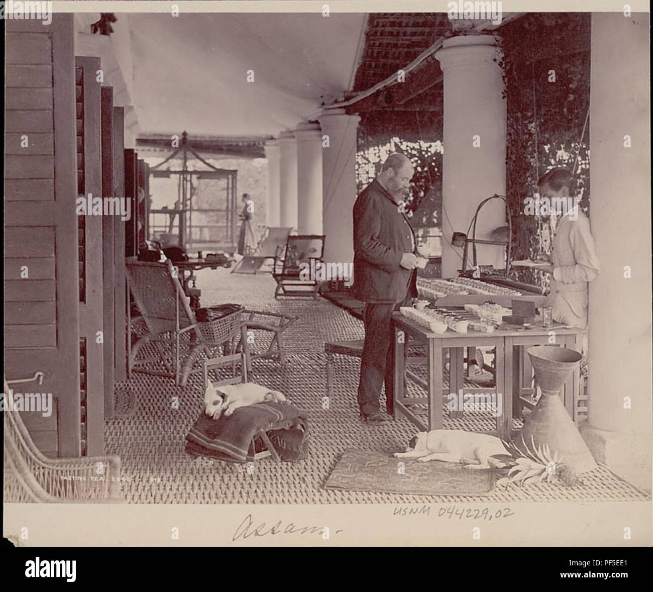 Bourne and shepherd tea hi-res stock photography and images - Alamy