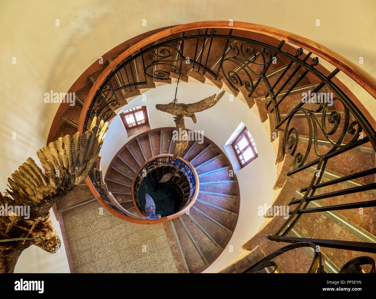 Argentina Museum Natural Science High Resolution Stock Photography and Images - Alamy