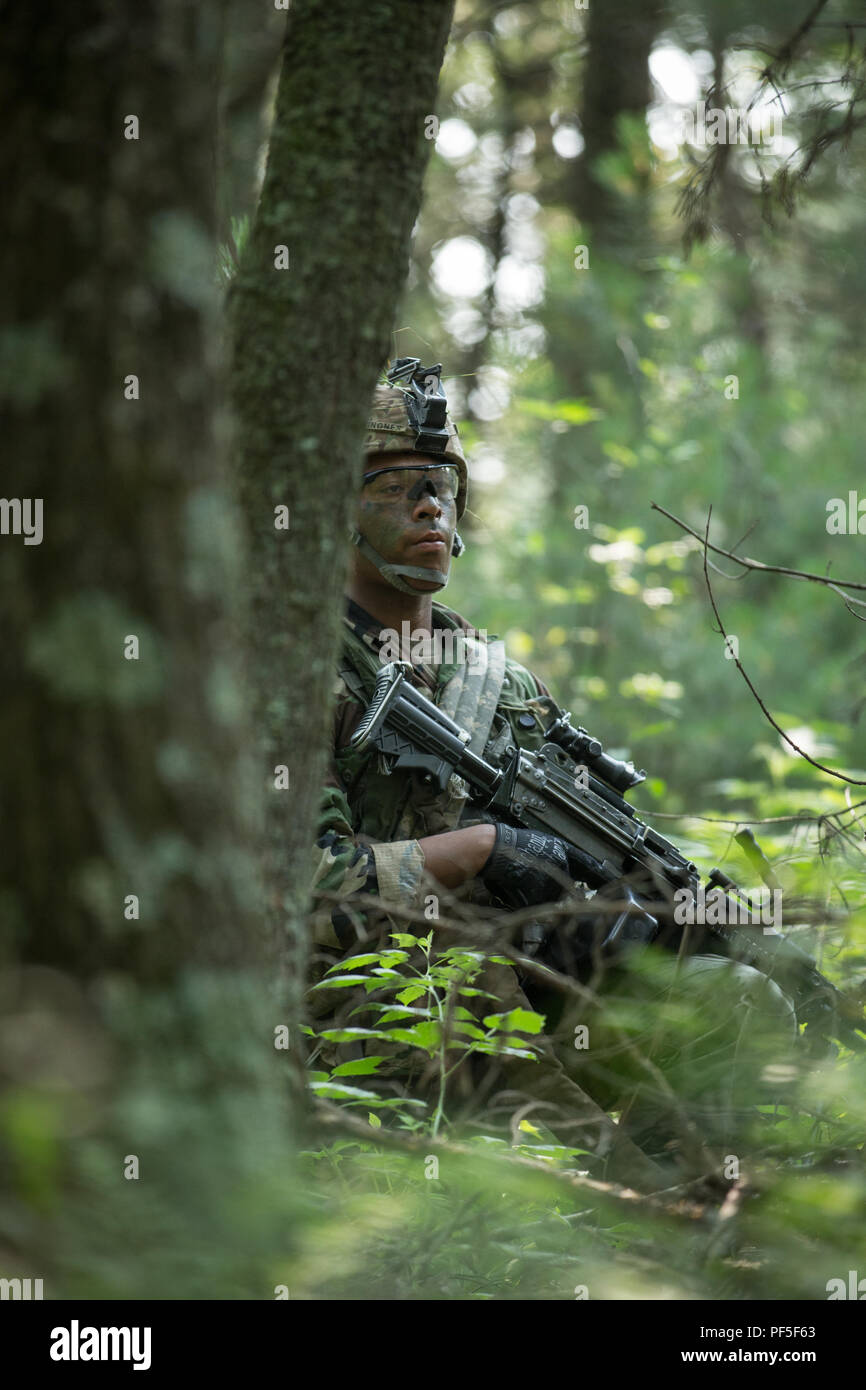 U.S. Army Pv2 Joel Quiones, 515th Sapper Company, patrols the woods ...