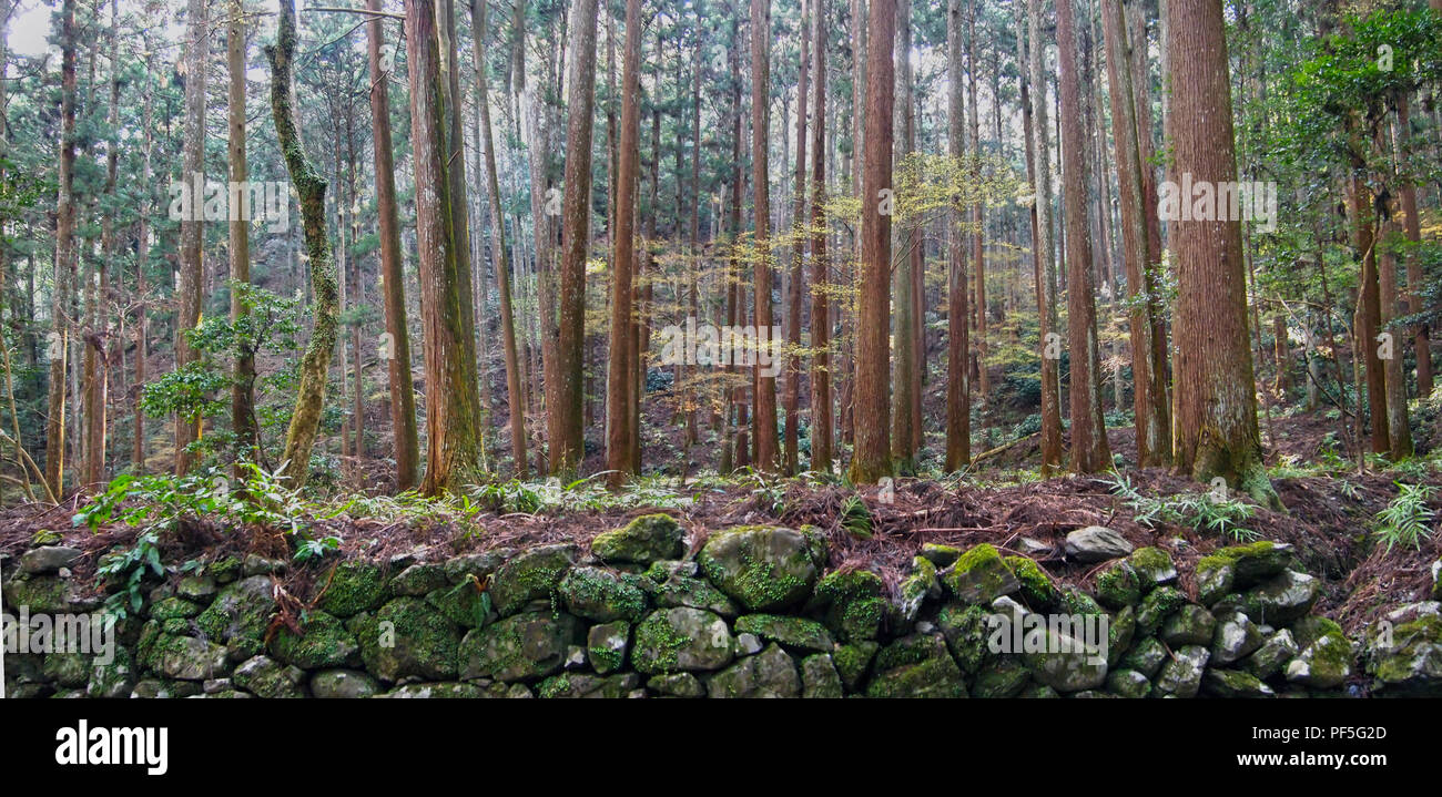 Natural landscape of Japan Stock Photo - Alamy