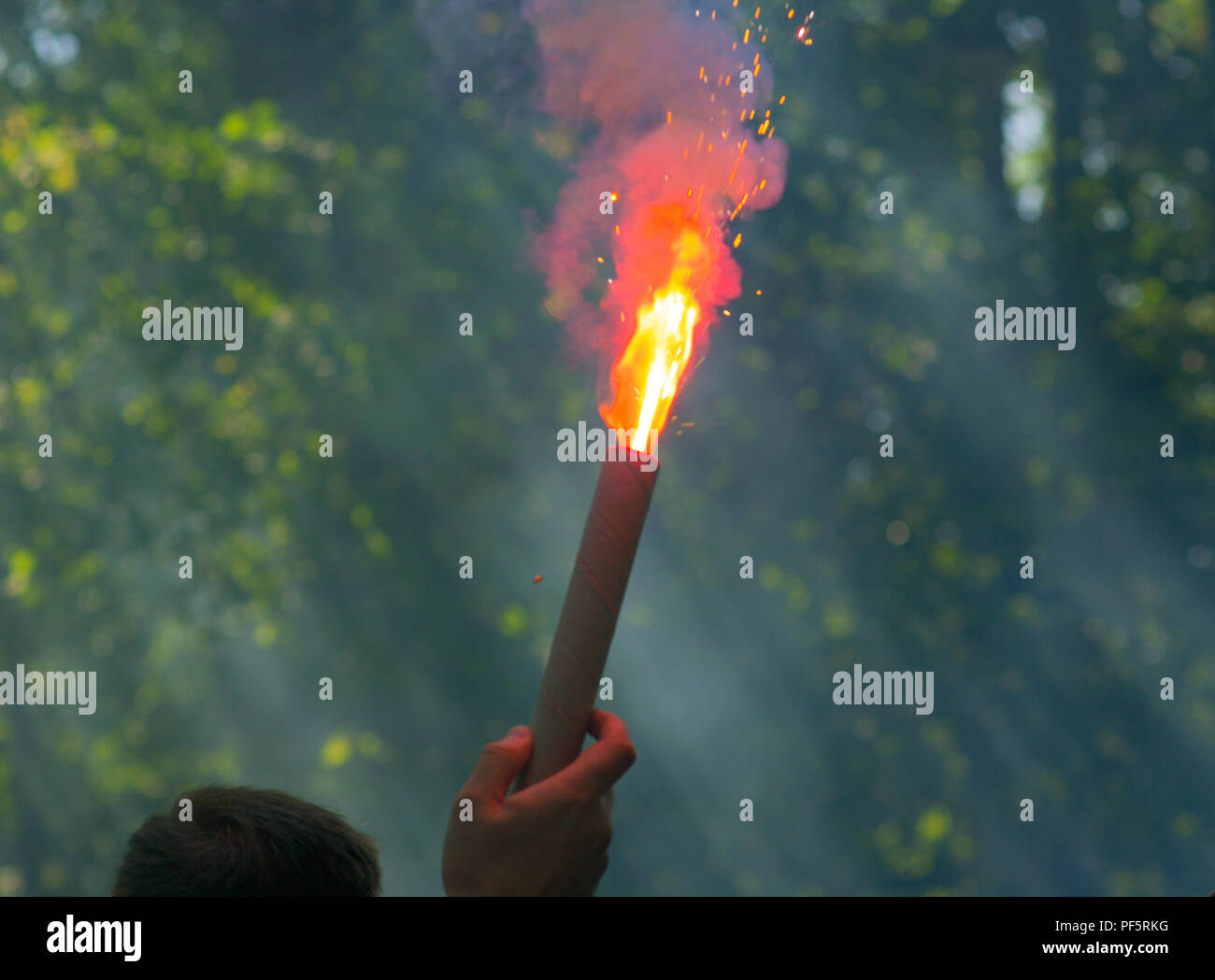 Hand holding a burning torch hi-res stock photography and images - Alamy