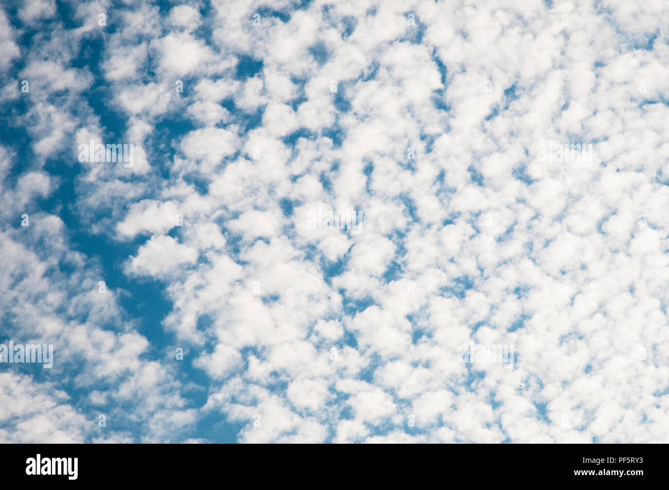 Abstract cloud formation hi-res stock photography and images - Alamy