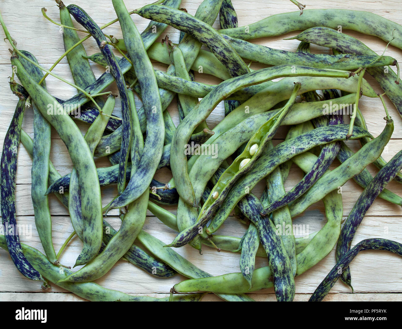 Bean husk hi-res stock photography and images - Alamy
