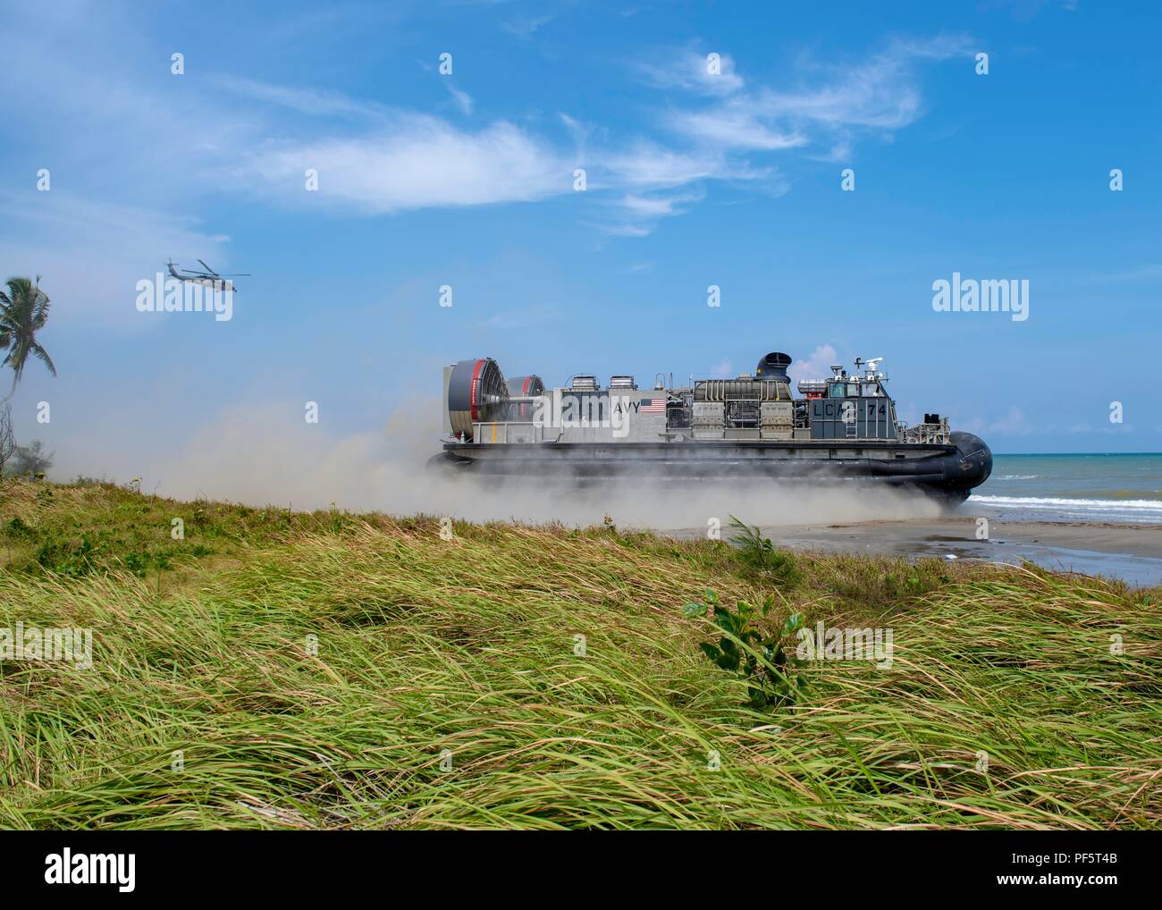 Molly Diservio High Resolution Stock Photography and Images - Alamy