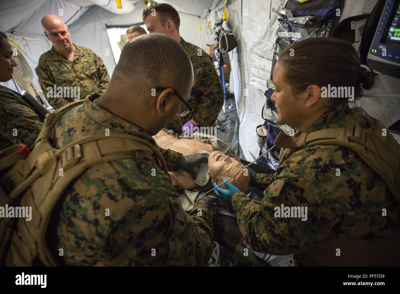 U.S. Navy Corpsmen of Surgical Company Alpha, 4th Medical Battalion ...