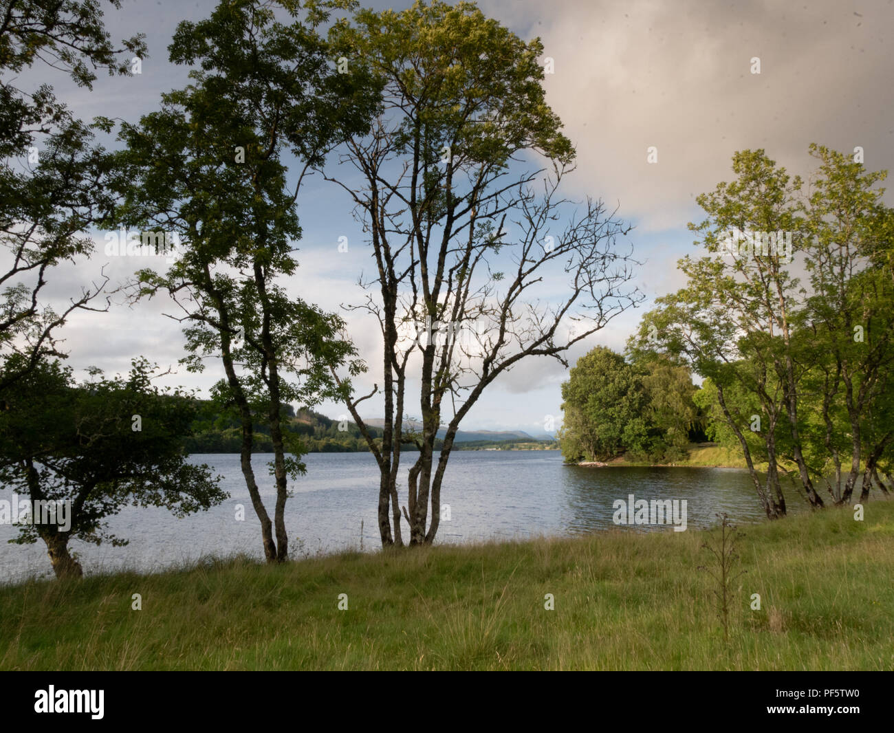 Shore of Loch Oich, Scotland, UK Stock Photo - Alamy