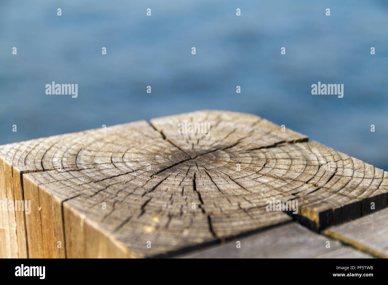 Gnarled structure hi-res stock photography and images - Alamy