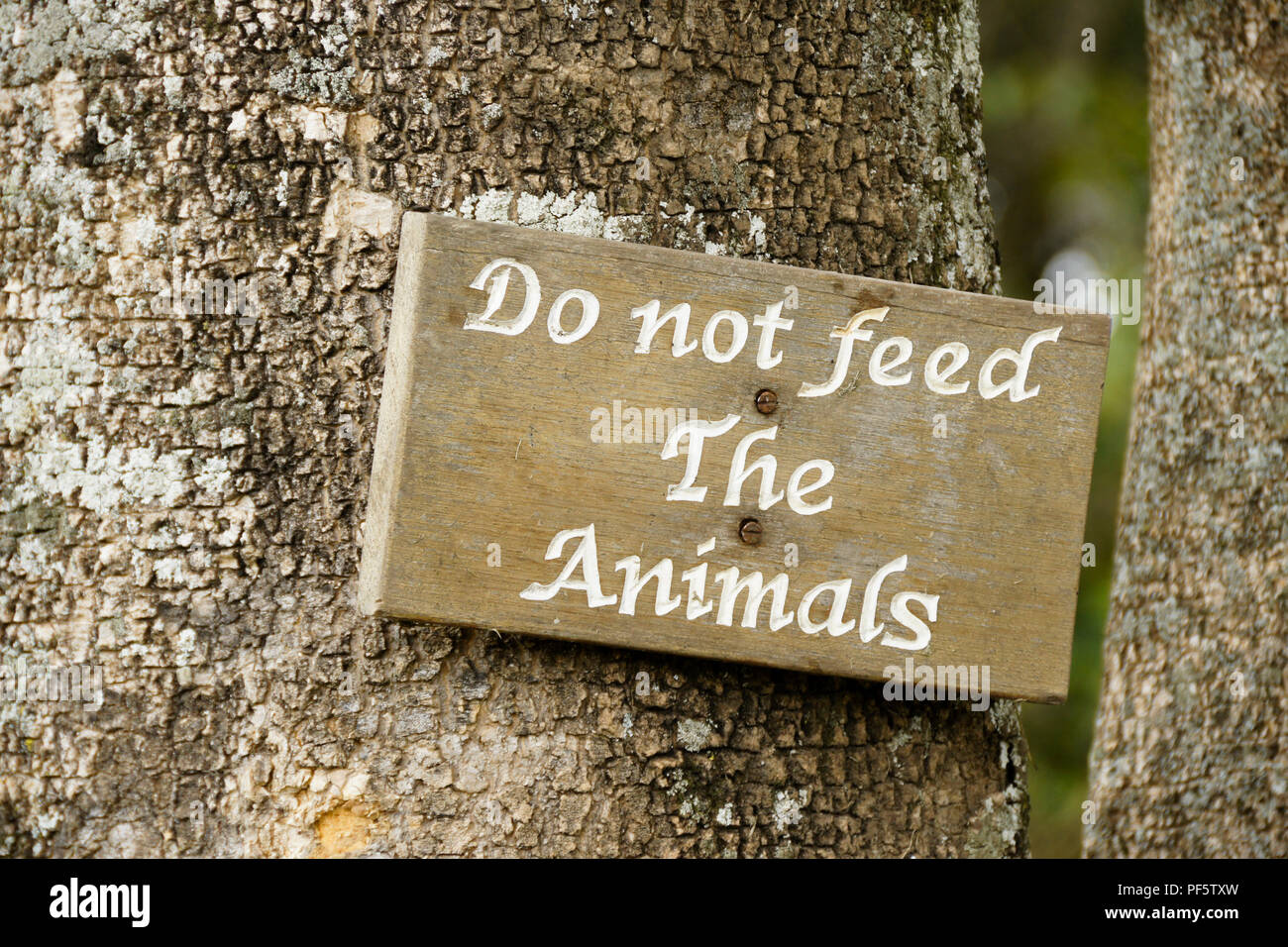 Dont feed the animals hi-res stock photography and images - Alamy