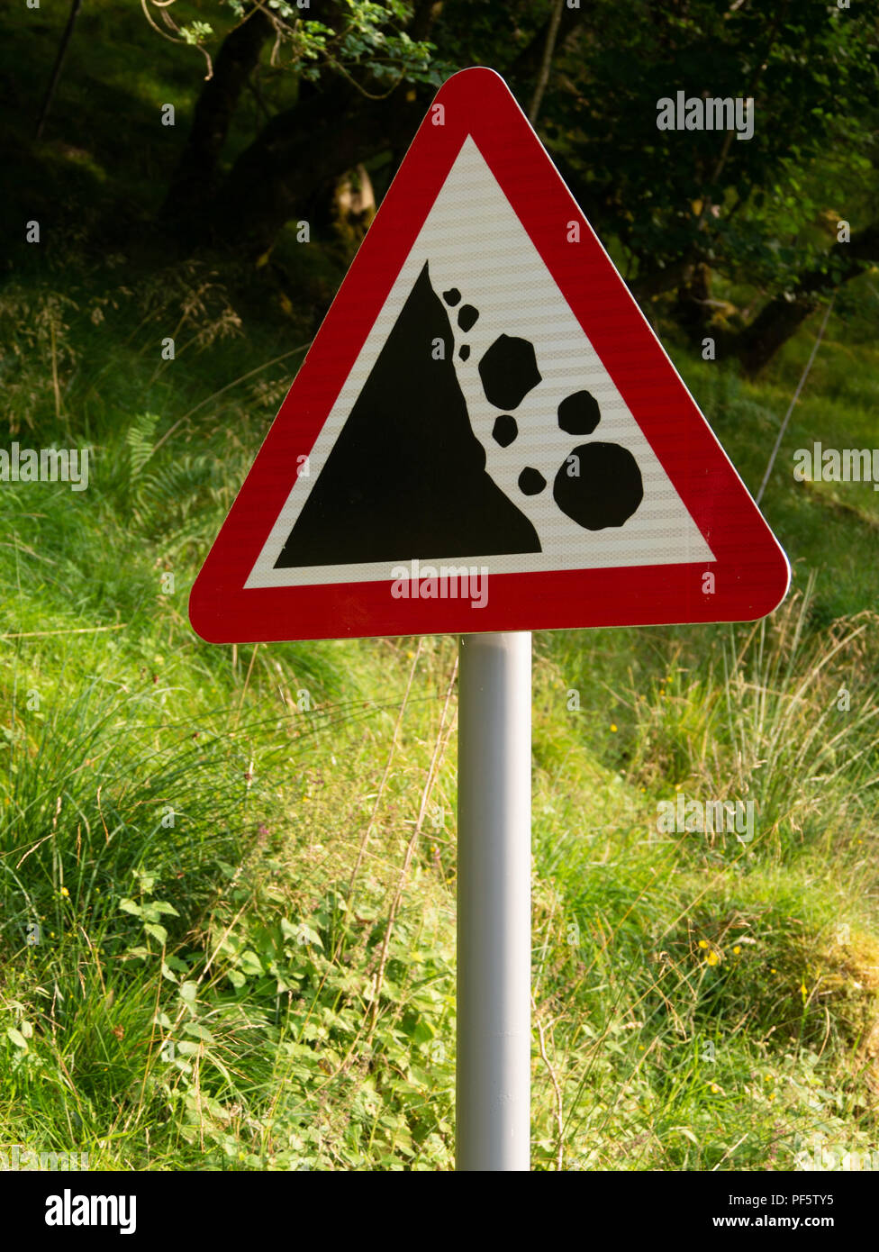 Falling Rocks Road Sign