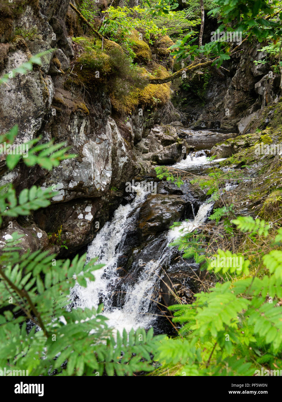Waterfall from Allt Doe burn into Loch Ness, Scotland, UK Stock Photo ...