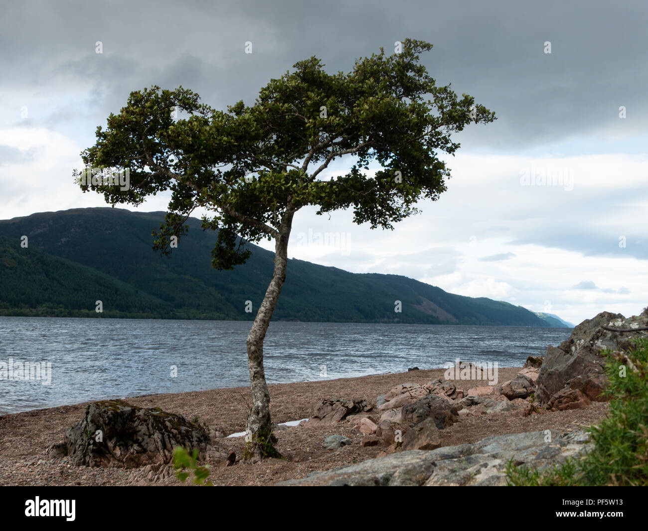 Shore of loch ness hi-res stock photography and images - Alamy