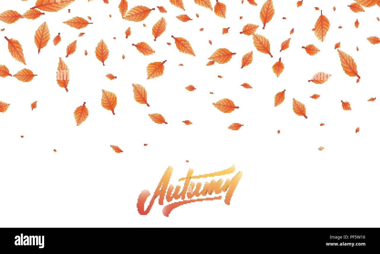 Fall leaves background. Autumn leaves frame, overlay, banner design ...