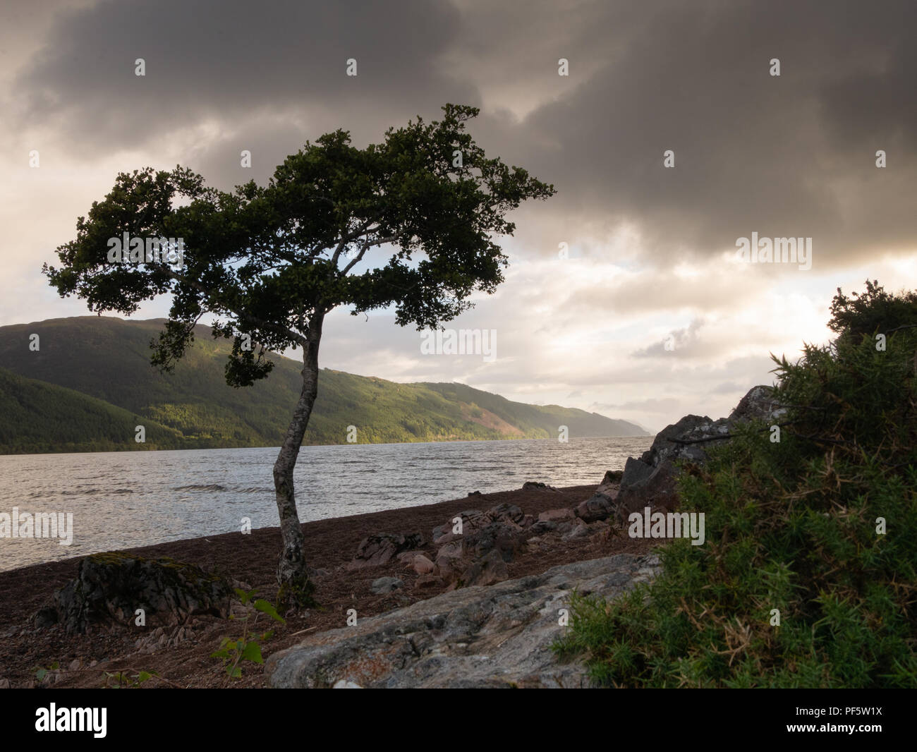 Scotland loch ness canoe hi-res stock photography and images - Alamy