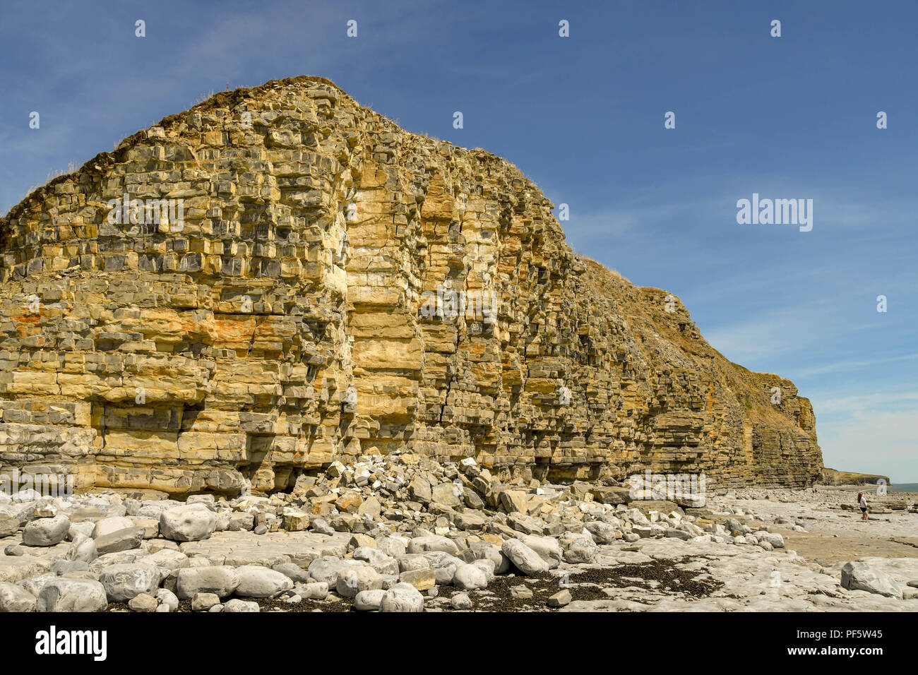 Jurassic coast fossils hi-res stock photography and images - Alamy