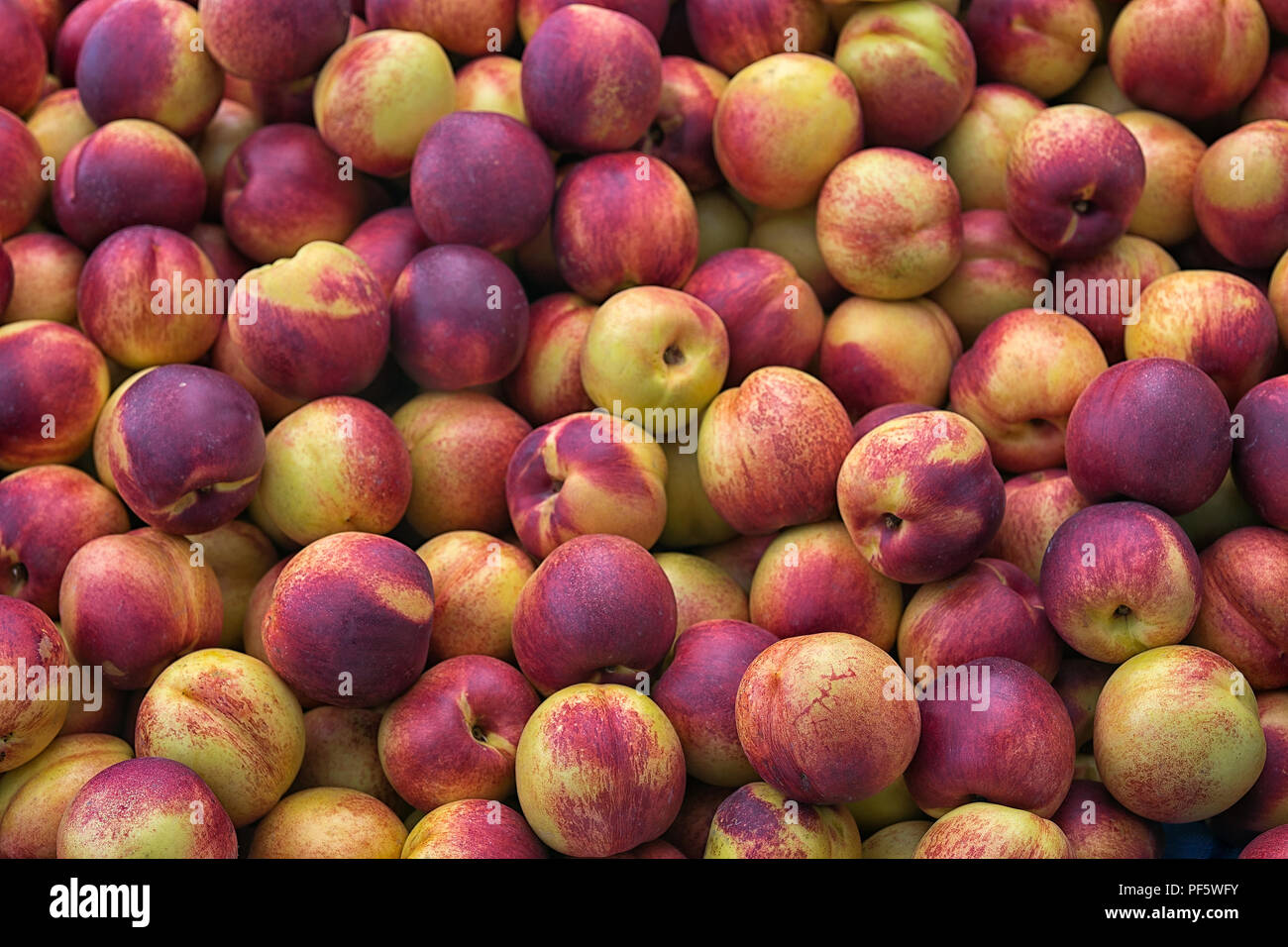 Beckground hi-res stock photography and images - Alamy