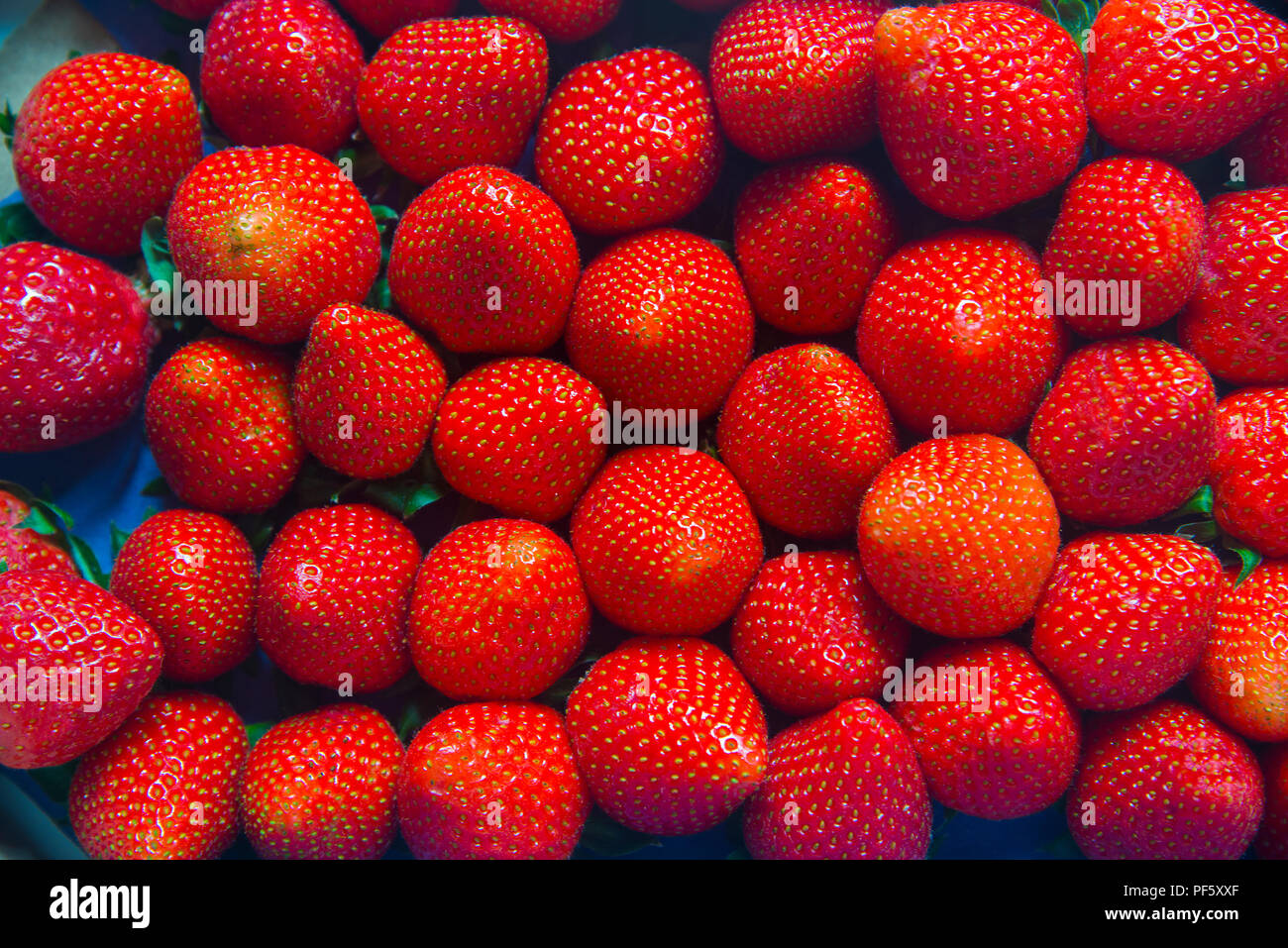 Fresas fresa hi-res stock photography and images - Alamy
