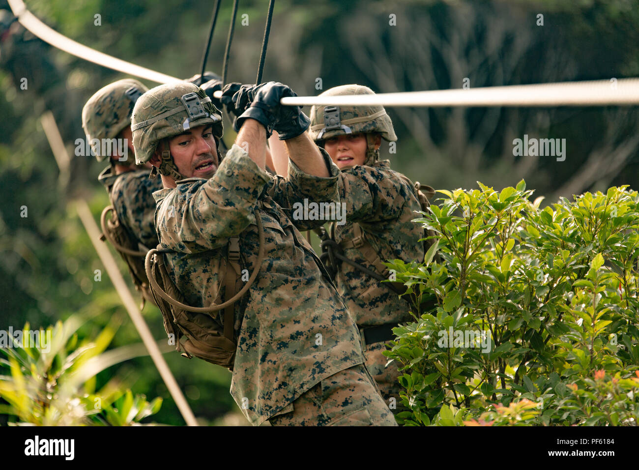 Marines with 3rd Law Enforcement Battalion, III Marine Expeditionary ...