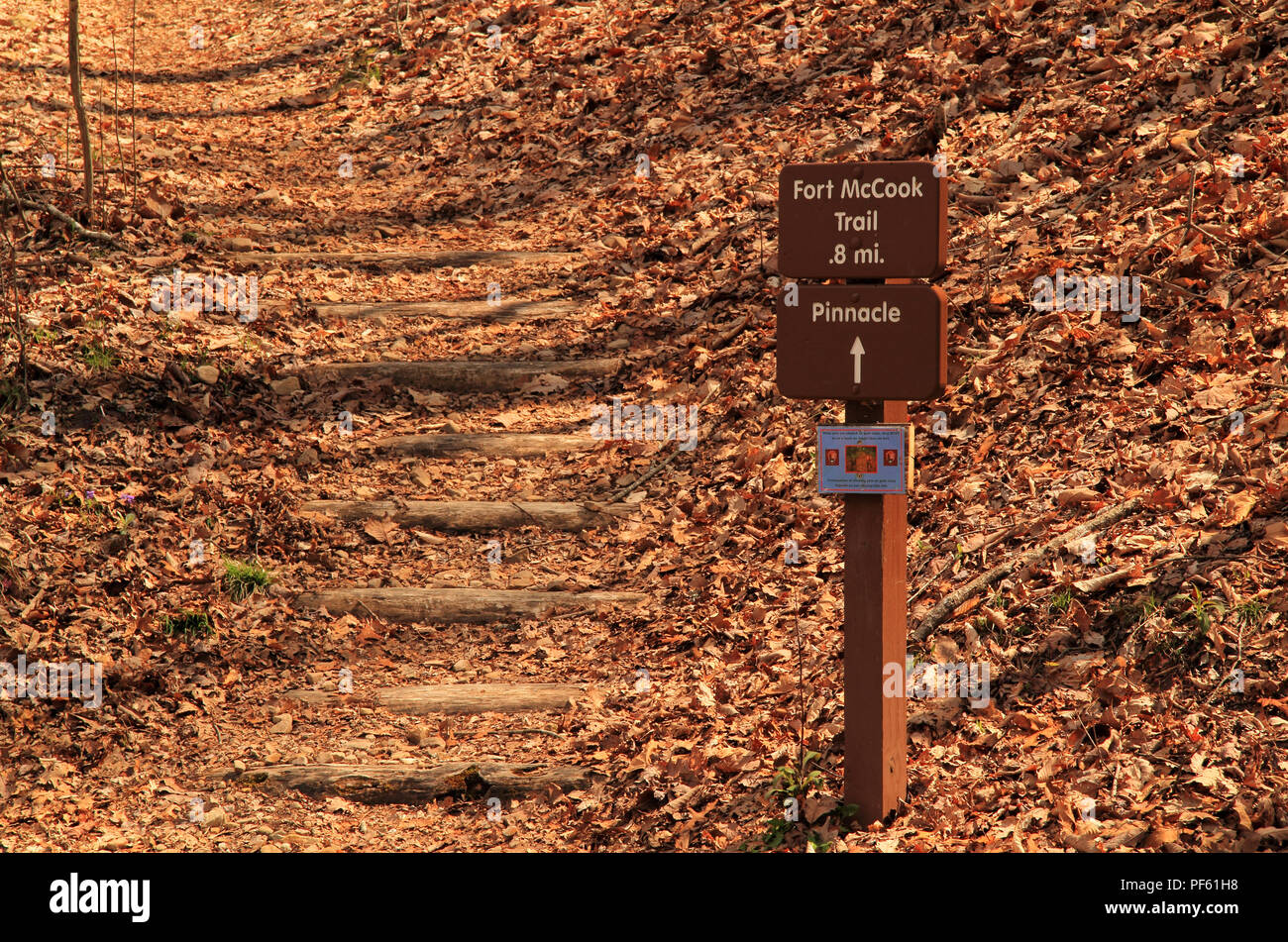 A well maintained path leads the adventurous to the ruins of Fort ...