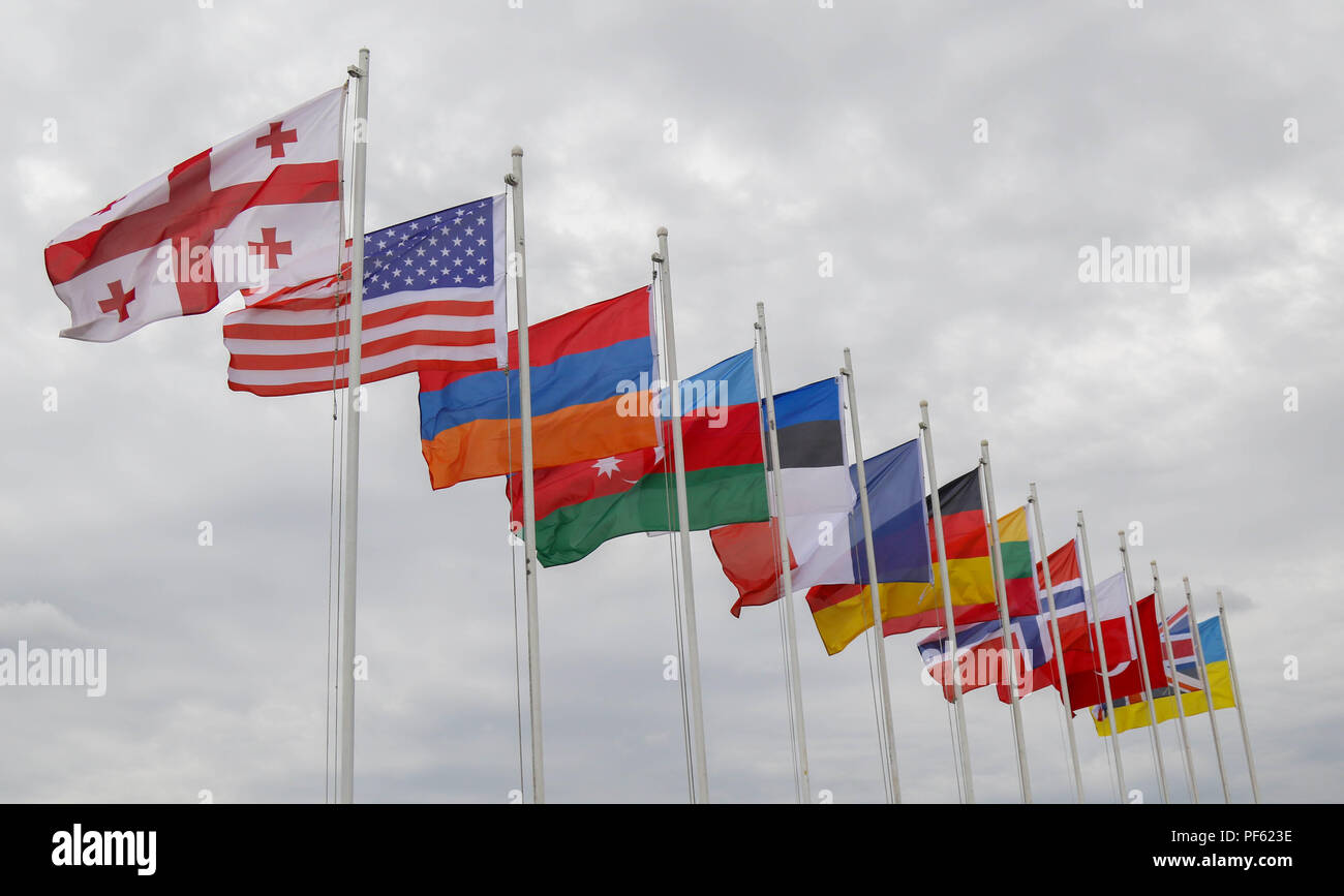 The flags of the 13 allied and partner nations which participated in ...