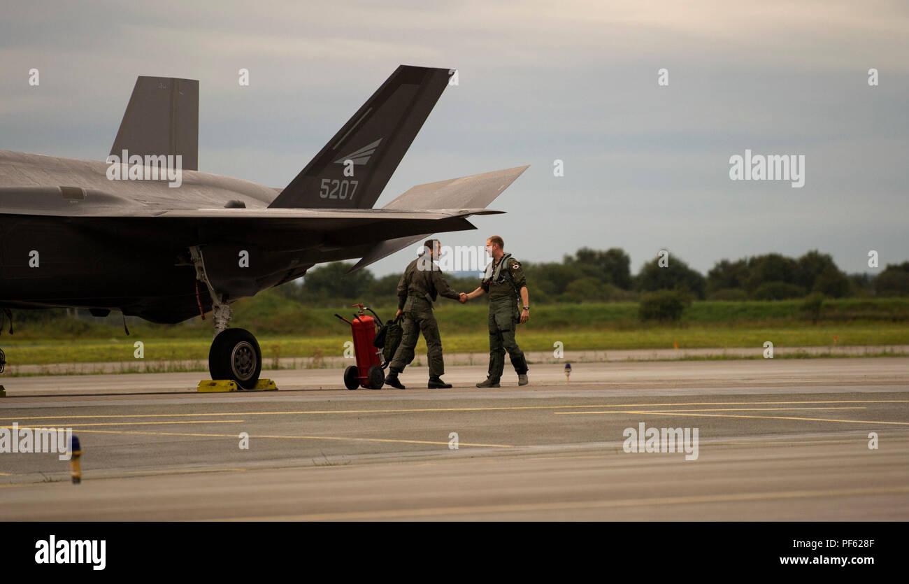 A U.S. Air Force F-22 Raptor pilot from the 95th Fighter Squadron ...
