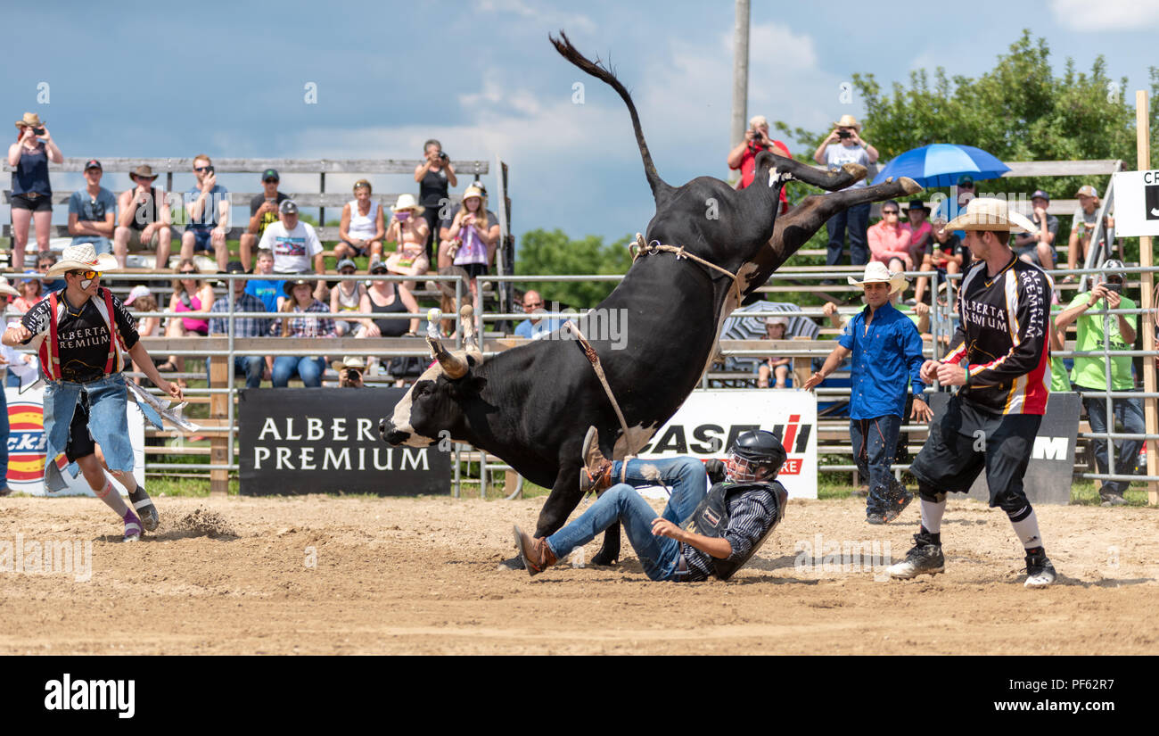 Rodeo Excitement comes to Southwestern Ontario at Exeter Fair Grounds ...
