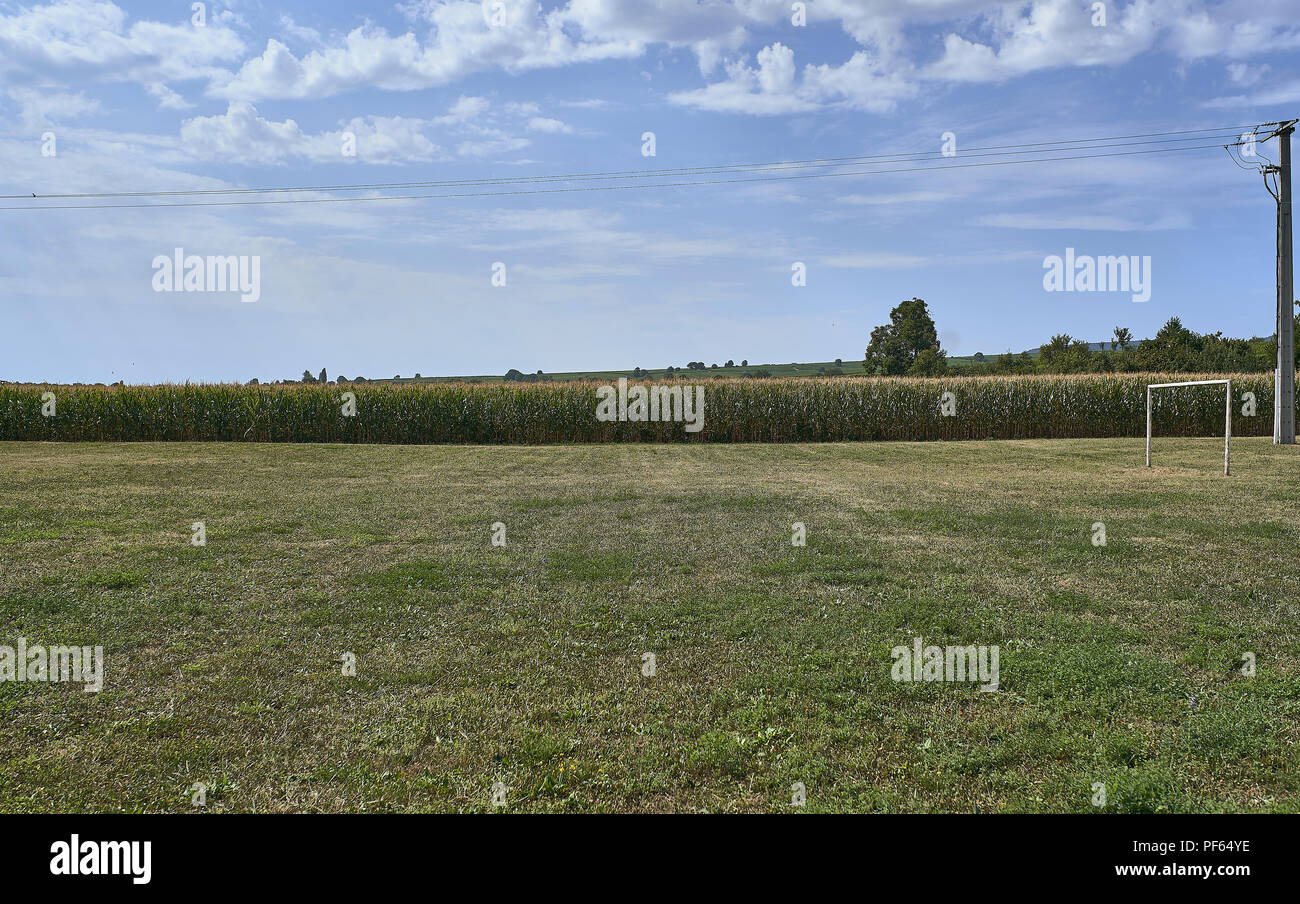Farm of corn in Europe Stock Photo - Alamy
