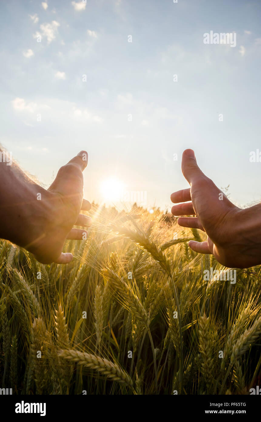 Hands cupping sun hi-res stock photography and images - Alamy
